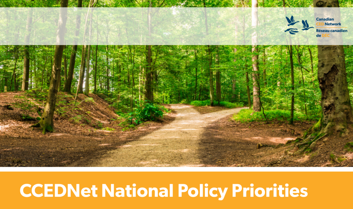 It Takes a Village to Build a Network: 15 Years of CCEDNet – Canadian CED Network